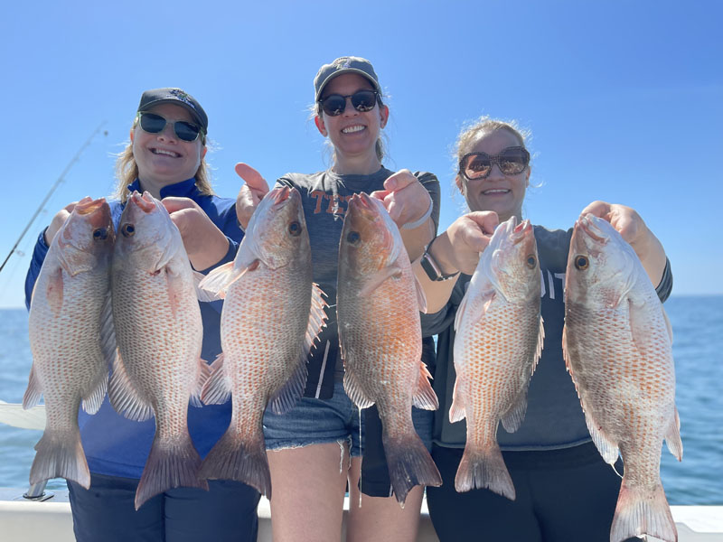 Florida Fishing Charter Rates - Fort Myers Fishing Adventures Florida Fishing Charter Rates - Fort Myers Fishing Adventures